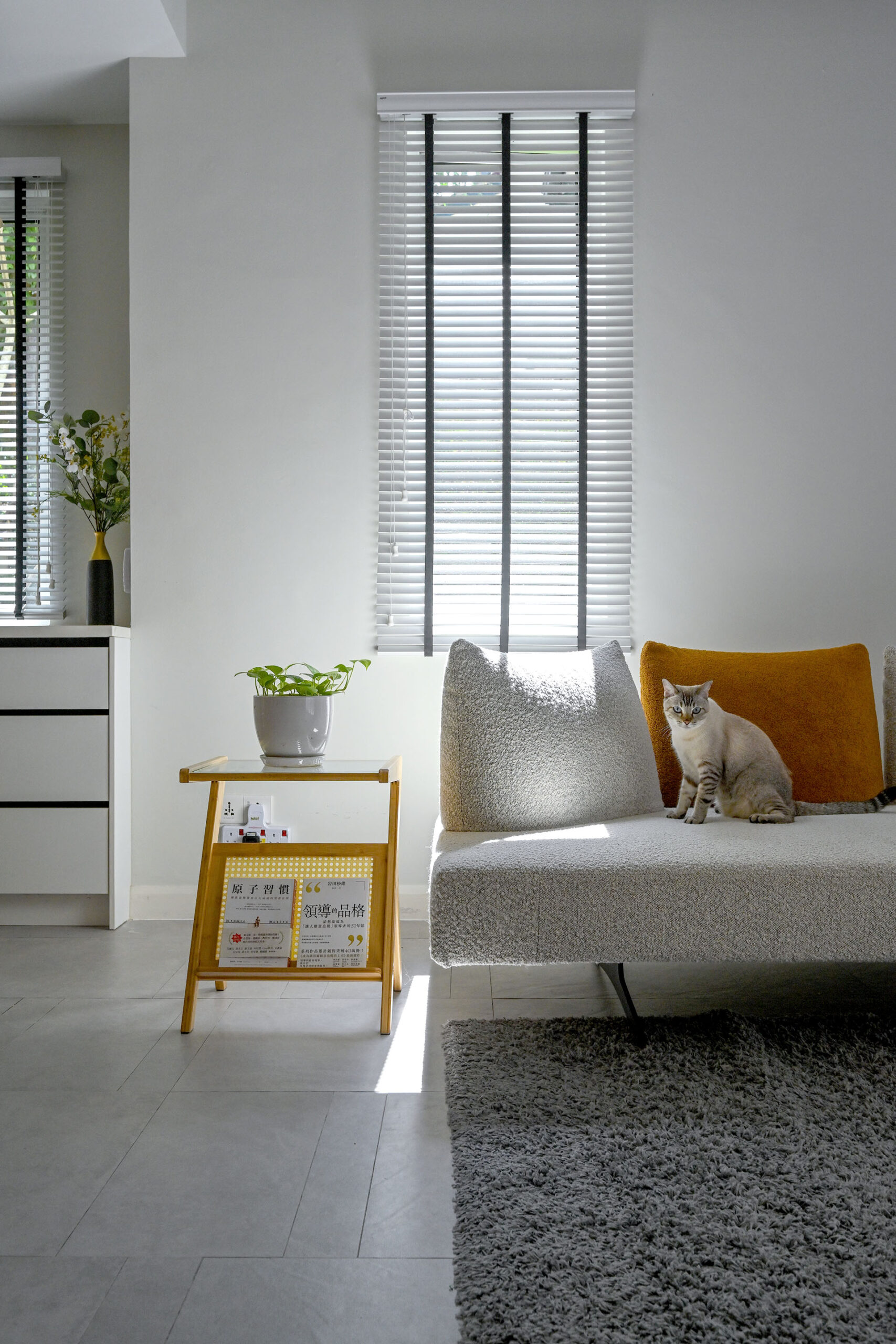 Portfolios - IQI Concept